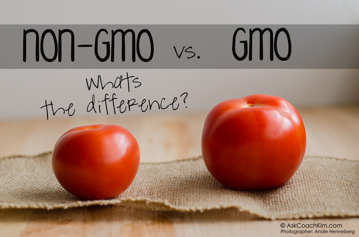 GMO vs. Non GMO Tomatoes, fully explained - rachelrabbitwhite.com
