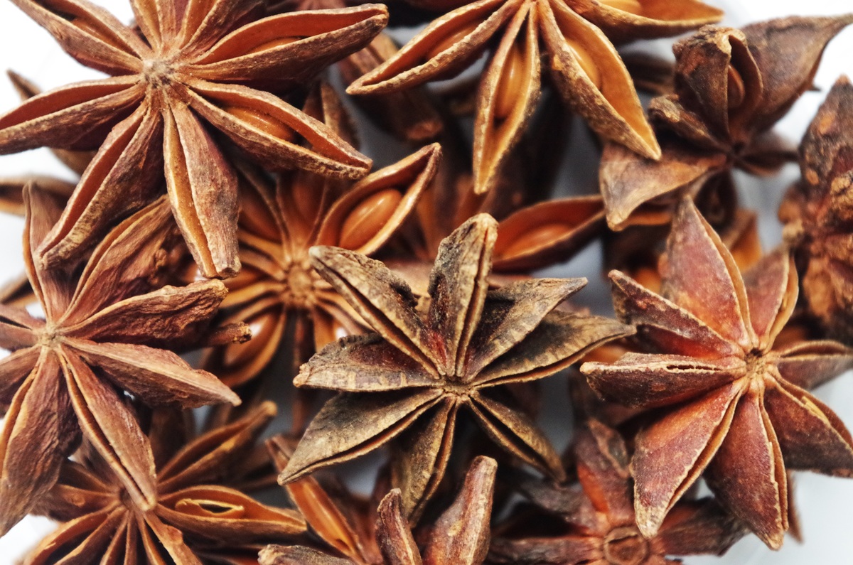 How to Grow Star Anise (Illicium verum) - rachelrabbitwhite.com