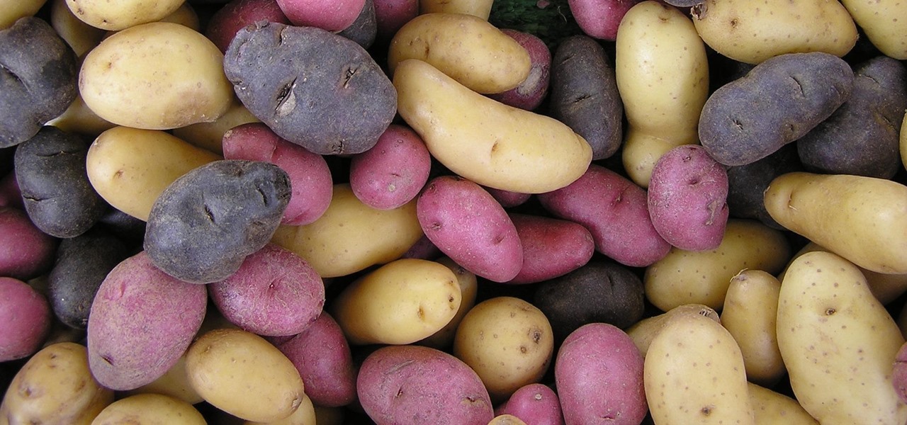 10 Types of Potatoes to Consider Growing - rachelrabbitwhite.com